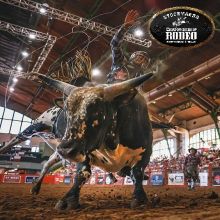 Stockyards Championship Rodeo Additional Offers