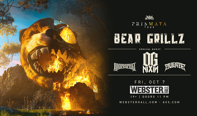 Bear Grillz Additional Offers