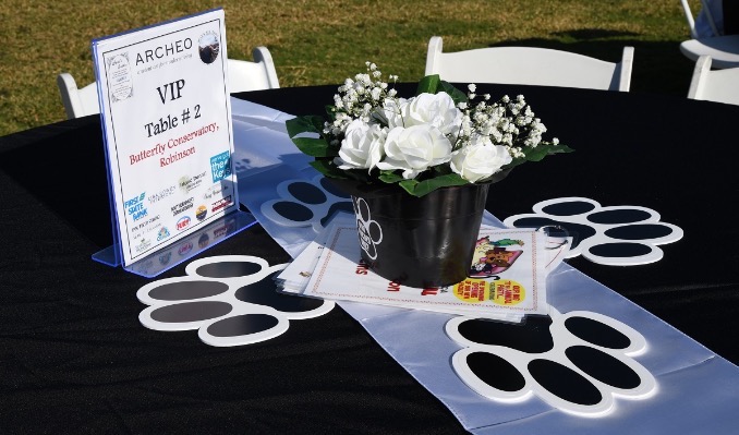 Coffee Butler Amphitheater - Key West, FL | Coffee Butler Amphitheater ...