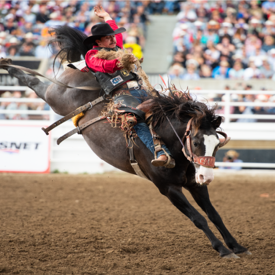 Calgary Stampede Tickets - 2025 Schedule & Dates