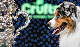 Crufts 2025 - Best in Show Additional Offers