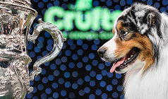 Crufts 2025 - Best in Show Additional Offers
