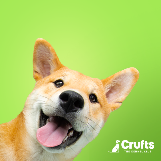 Crufts Tickets - Concert Tour Dates - AXS UK