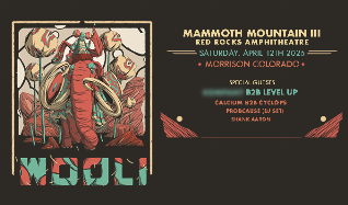 Wooli Additional Offers