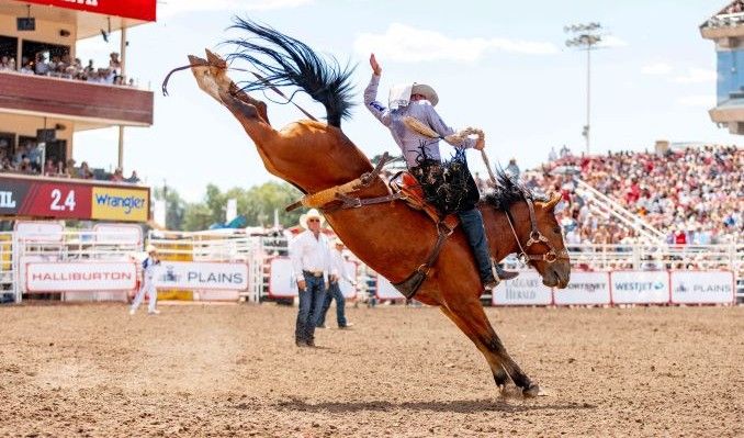 Calgary Stampede Tickets - 2025 Schedule & Dates